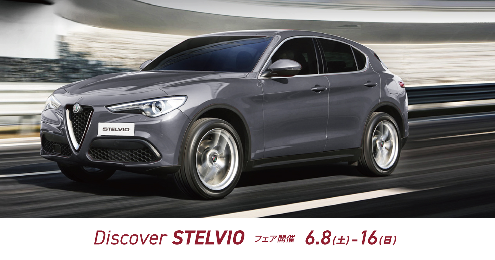 AR-Discover-Stelvio | 株式会社GST